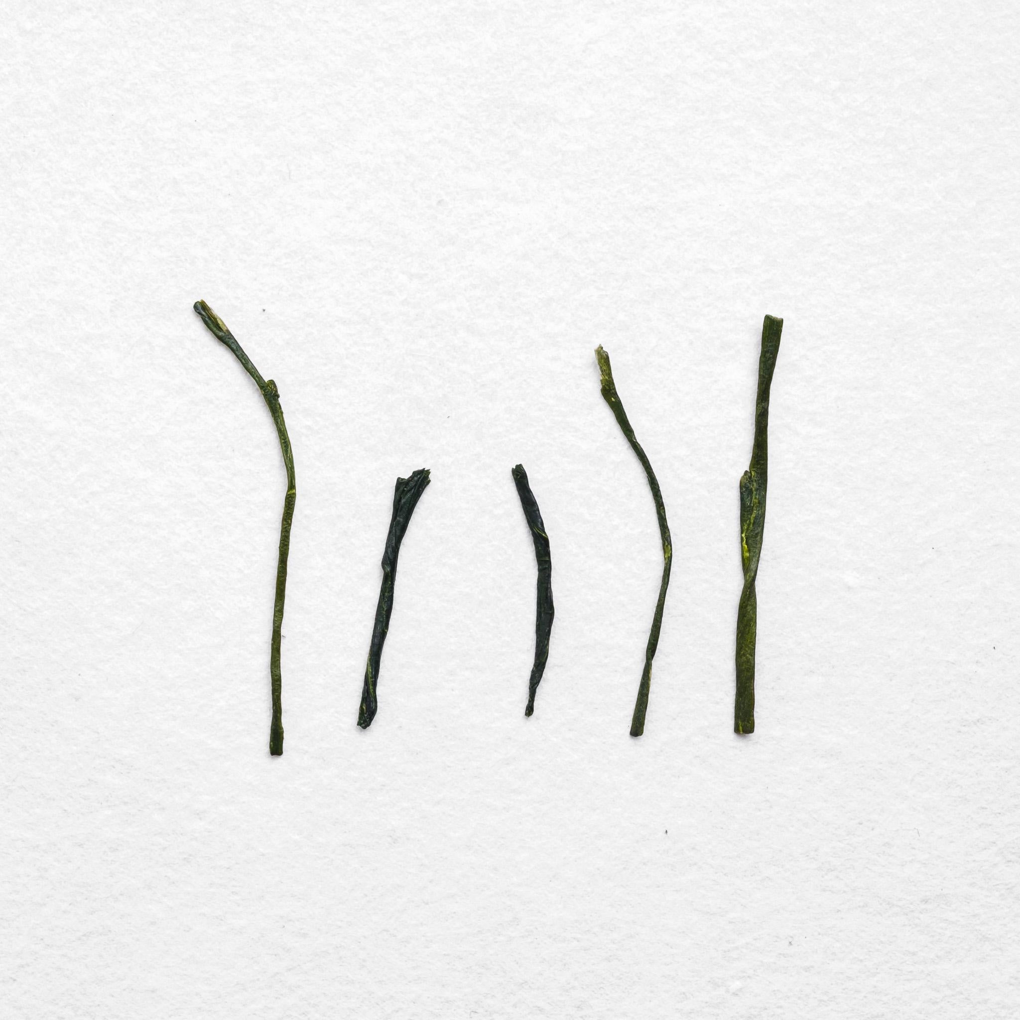 Mare Gyokuro – Kettl